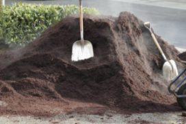 Chicken Manure and Outdoor Plumbing - Backyard Poultry